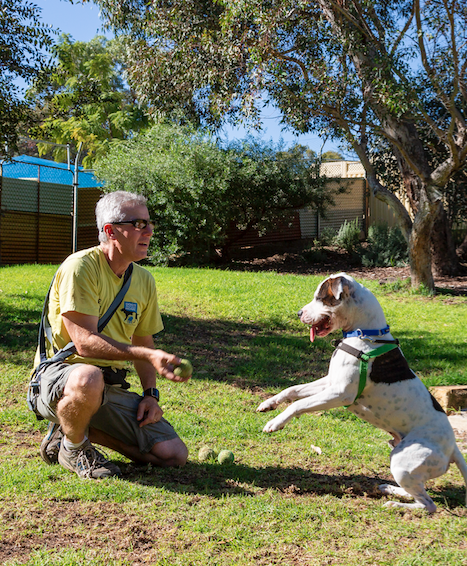 About Us – Dogs' Refuge Home