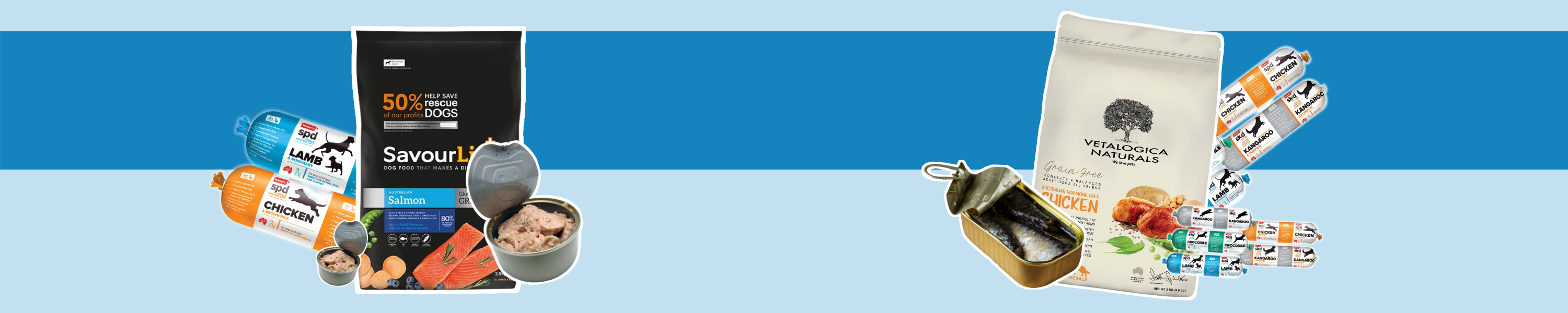 Rachel – Dogs' Refuge Home